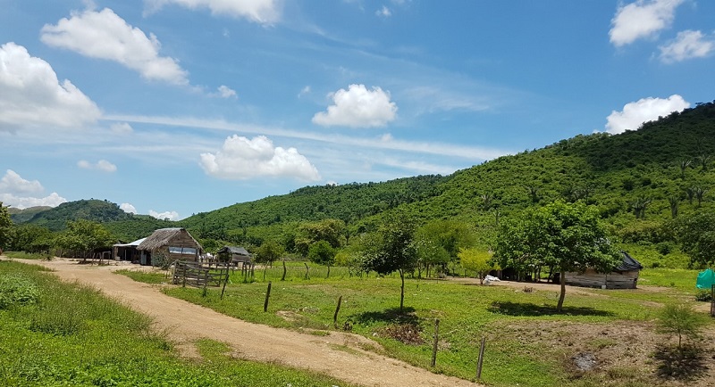 En 6 corregimientos de Pueblo Bello, la Unidad de Restitución iniciará trabajos | Semanario La Calle