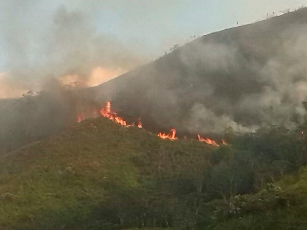 Trecientas hectáreas de la Serranía del Perijá consumidas por incendio ...