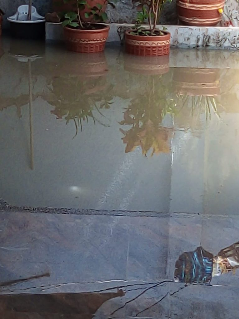 Habitantes de Esperanza Norte en Valledupar están ‘mamaos’ de un manjol ...